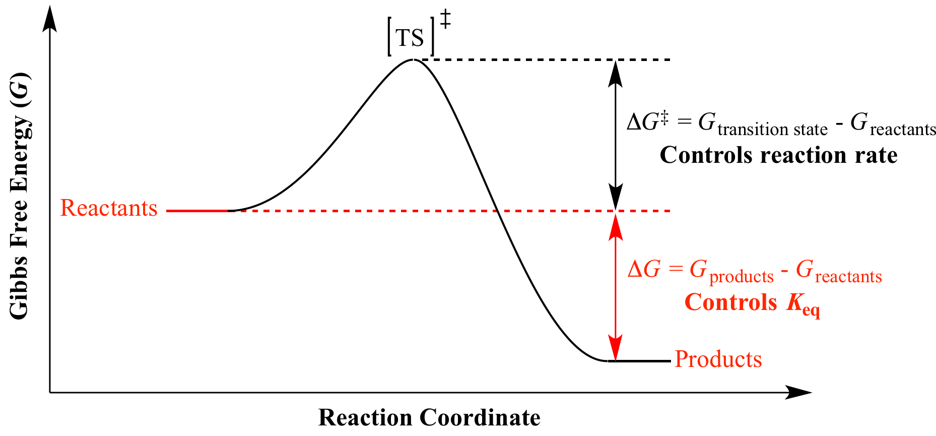 Illustrated Glossary of Organic Chemistry - ΔG; thermodynamically ... Illustrated Glossary of Organic Chemistry - ΔG; thermodynamically ...