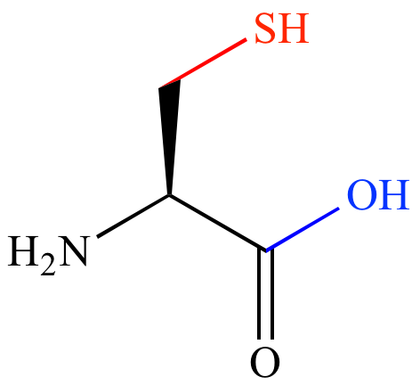 Sulfhydryl Group Examples