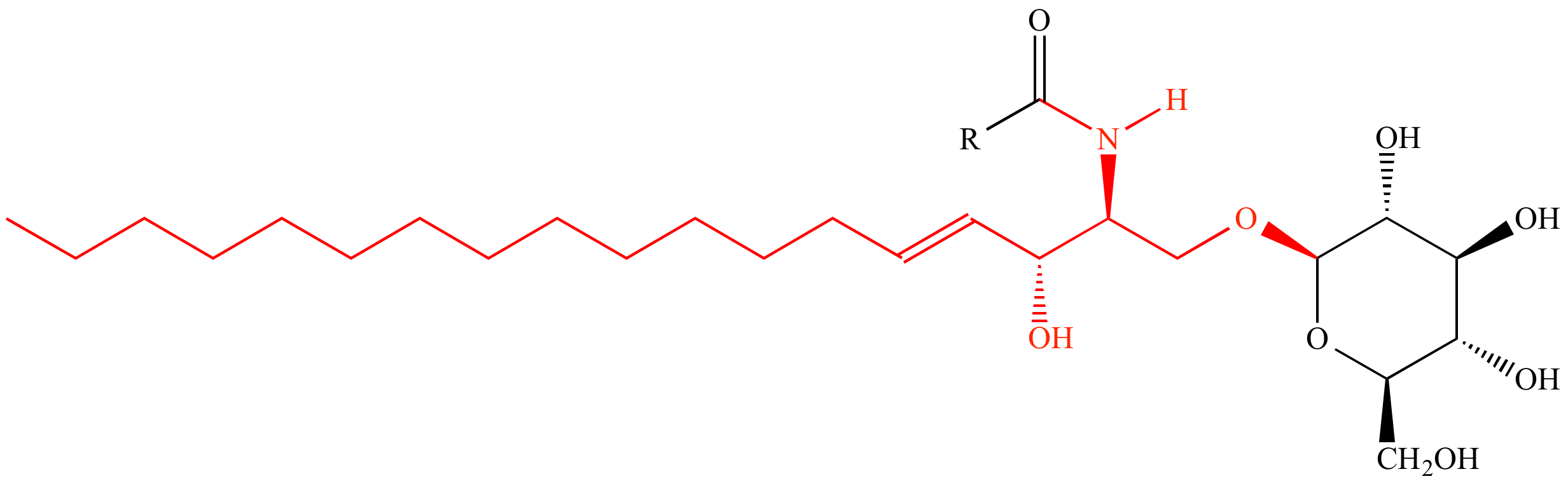 Sphingolipid Structure Sphingolipid Structure
