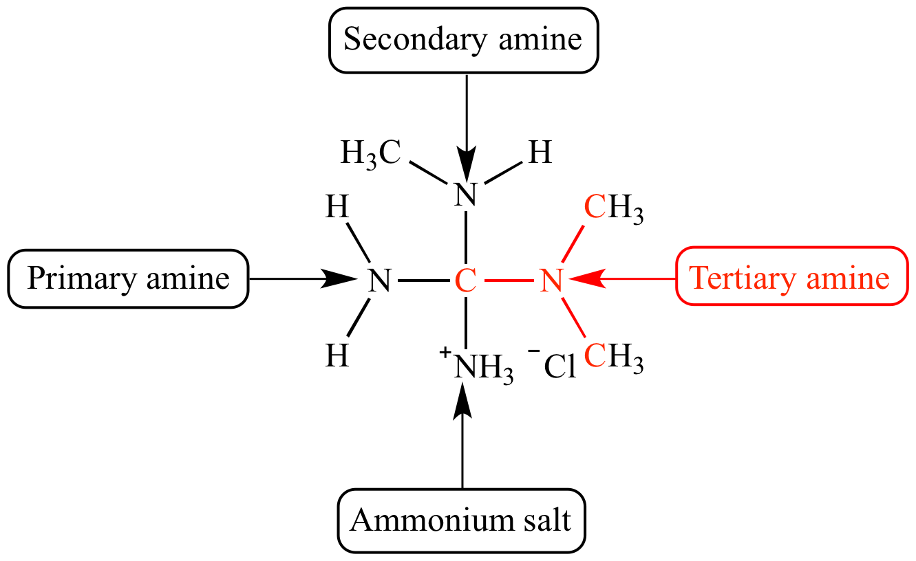 Illustrated Glossary Of Organic Chemistry Tertiary Amine Illustrated Glossary Of Organic Chemistry Tertiary Amine