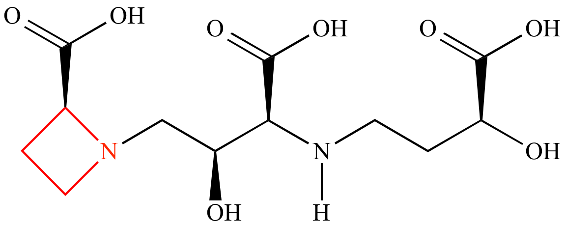 Illustrated Glossary of Organic Chemistry - Azetidine