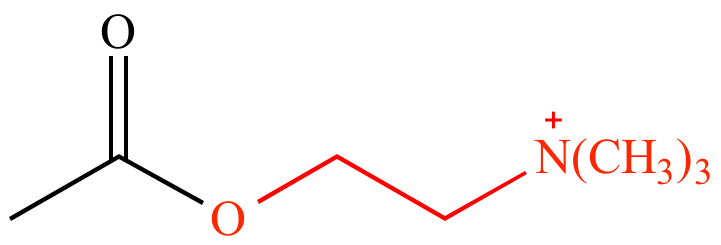 Illustrated Glossary of Organic Chemistry - Choline