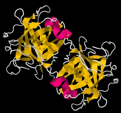 Illustrated Glossary of Organic Chemistry - Chymotrypsin