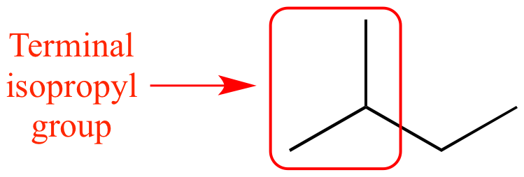 Illustrated Glossary of Organic Chemistry - Common names (n, neo, iso ...