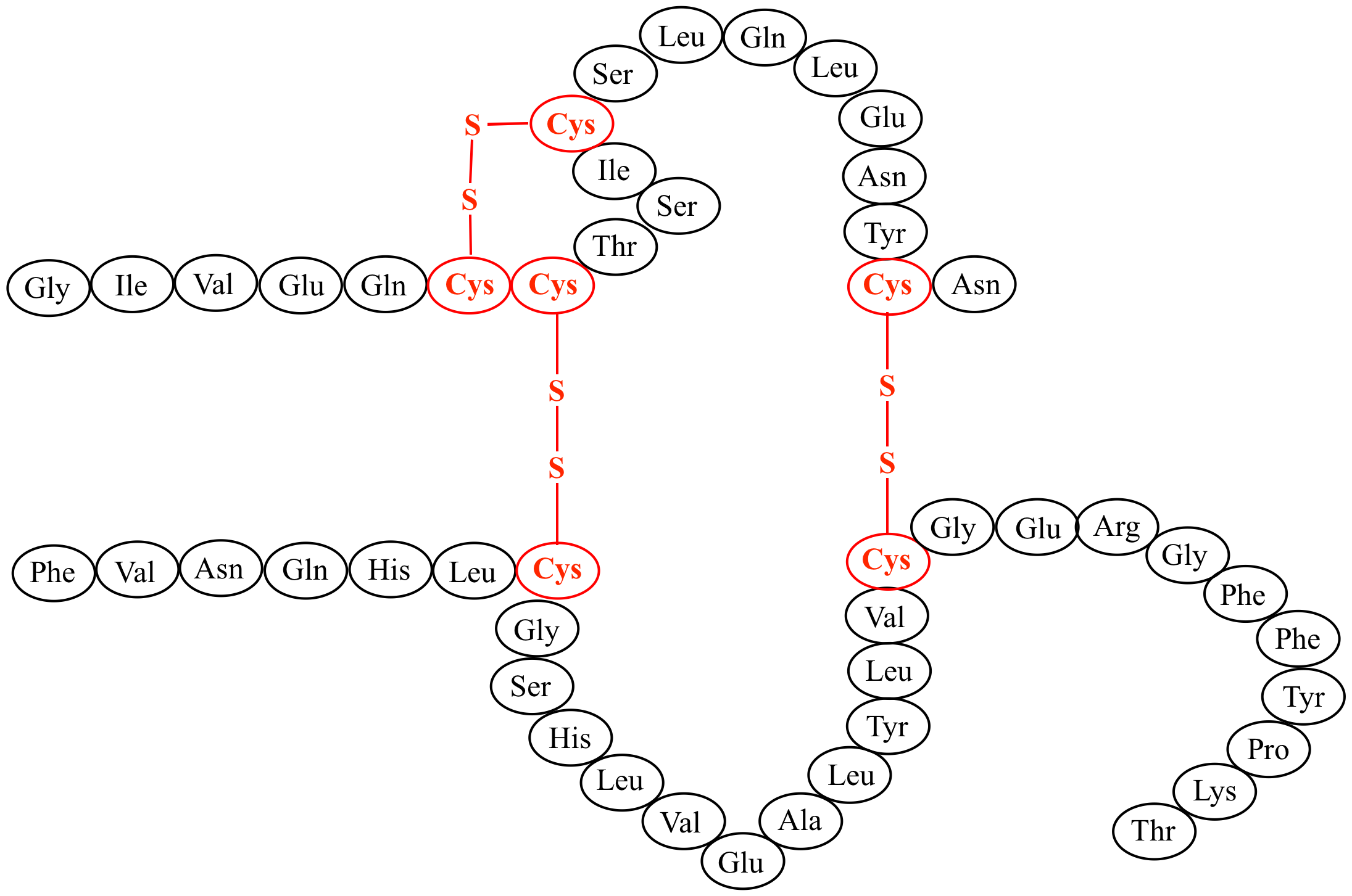 Illustrated Glossary of Organic Chemistry - Disulfide bridge
