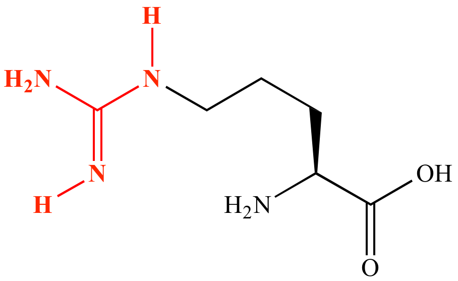 Illustrated Glossary of Organic Chemistry - Guanidine