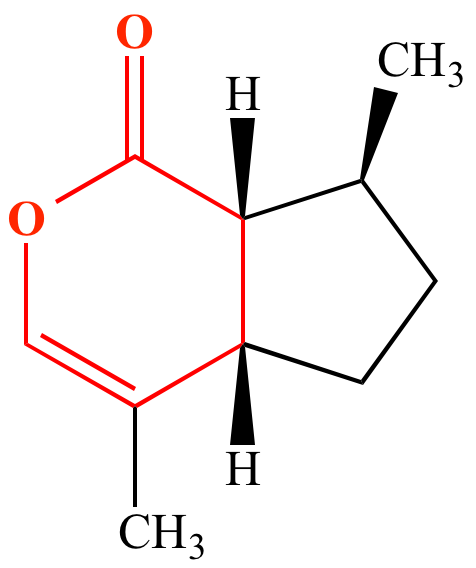 Illustrated Glossary of Organic Chemistry - Lactone