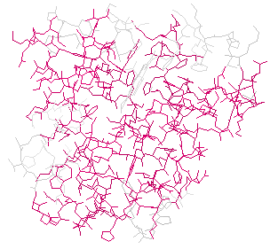 Illustrated Glossary of Organic Chemistry - Myoglobin