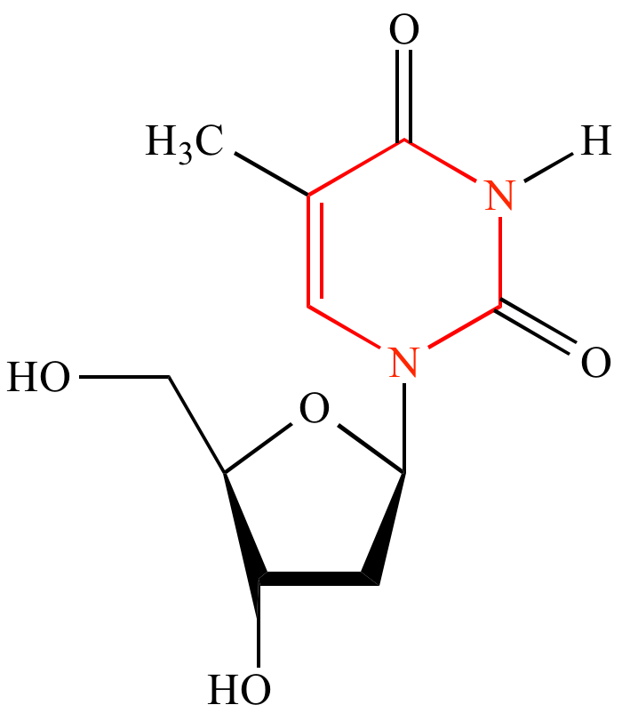Illustrated Glossary of Organic Chemistry - Pyrimidine