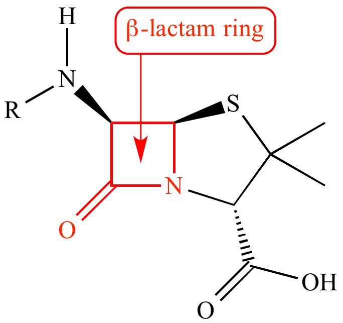 Illustrated Glossary of Organic Chemistry - Ring strain