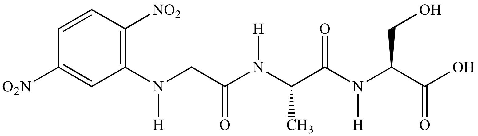 Tripeptide Labeled