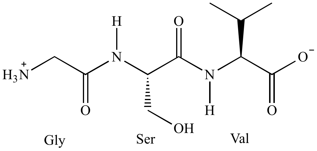 Illustrated Glossary Of Organic Chemistry Tripeptide Illustrated Glossary Of Organic Chemistry Tripeptide